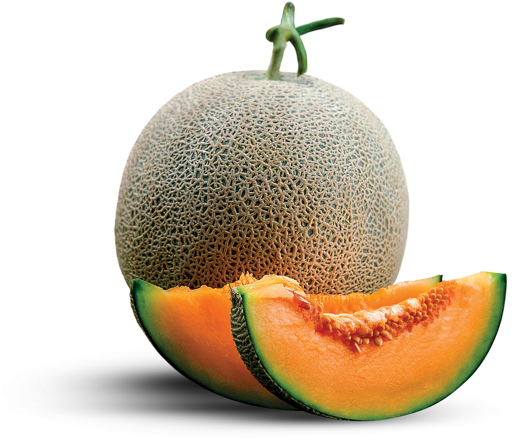 Why Plant Melon ??? - Blog Bintang asiA