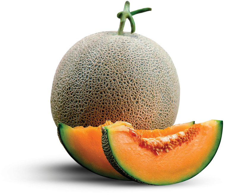 Tips Memilih Benih Melon yang Benar - Blog Bintang asiA