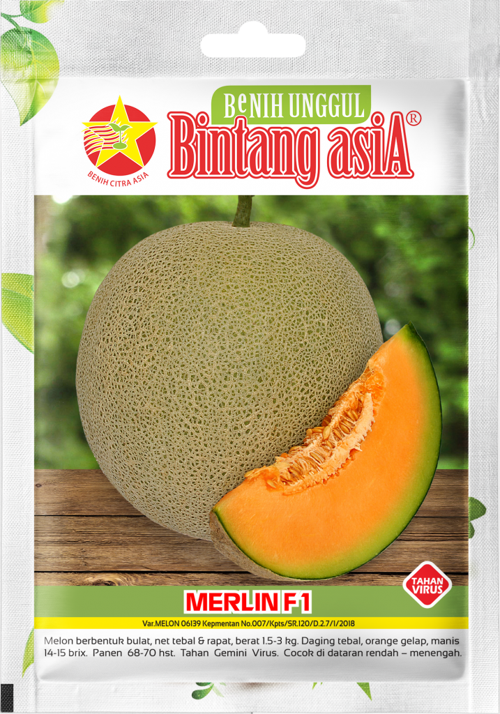 Why Plant Melon ??? - Blog Bintang asiA