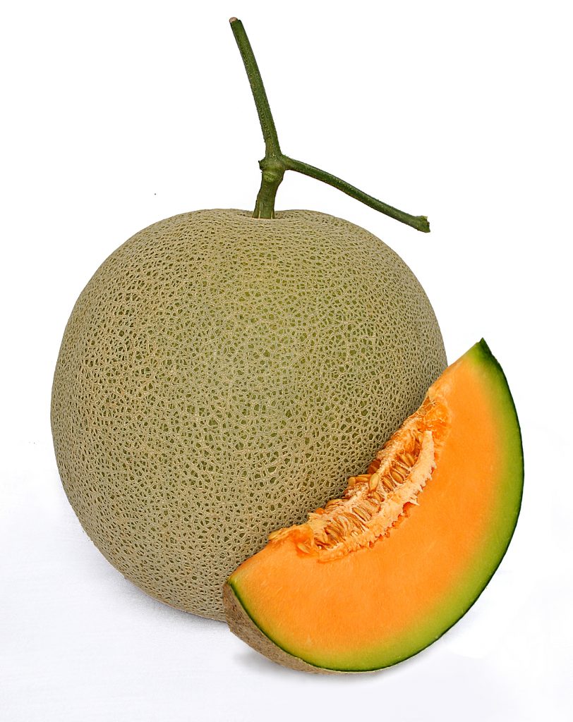 Why Plant Melon ??? - Blog Bintang asiA