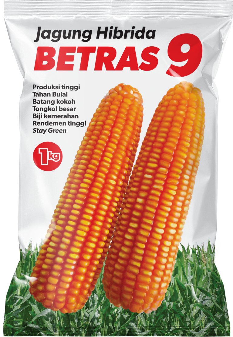 Promosi Benih Jagung Betras 9 merk Bintang Asia - Blog Bintang asiA