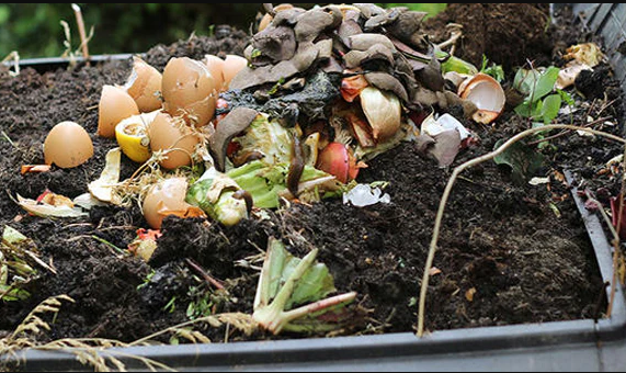 Garden Composting Tips- The Art of Composting - Blog Bintang asiA