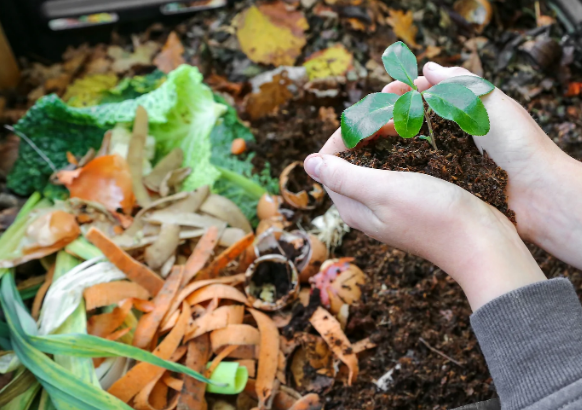 Garden Composting Tips- The Art of Composting - Blog Bintang asiA