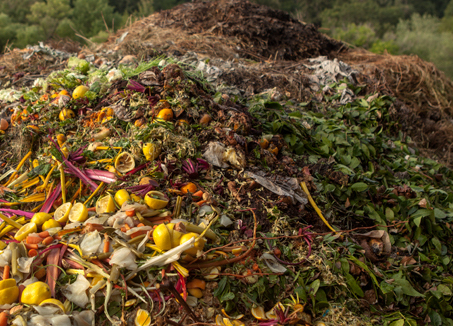 Maintaining a Compost Heap - Blog Bintang asiA