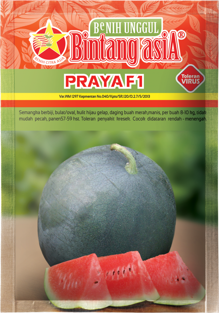 10 Best Watermelon Seed Types in Indonesia - Blog Bintang asiA