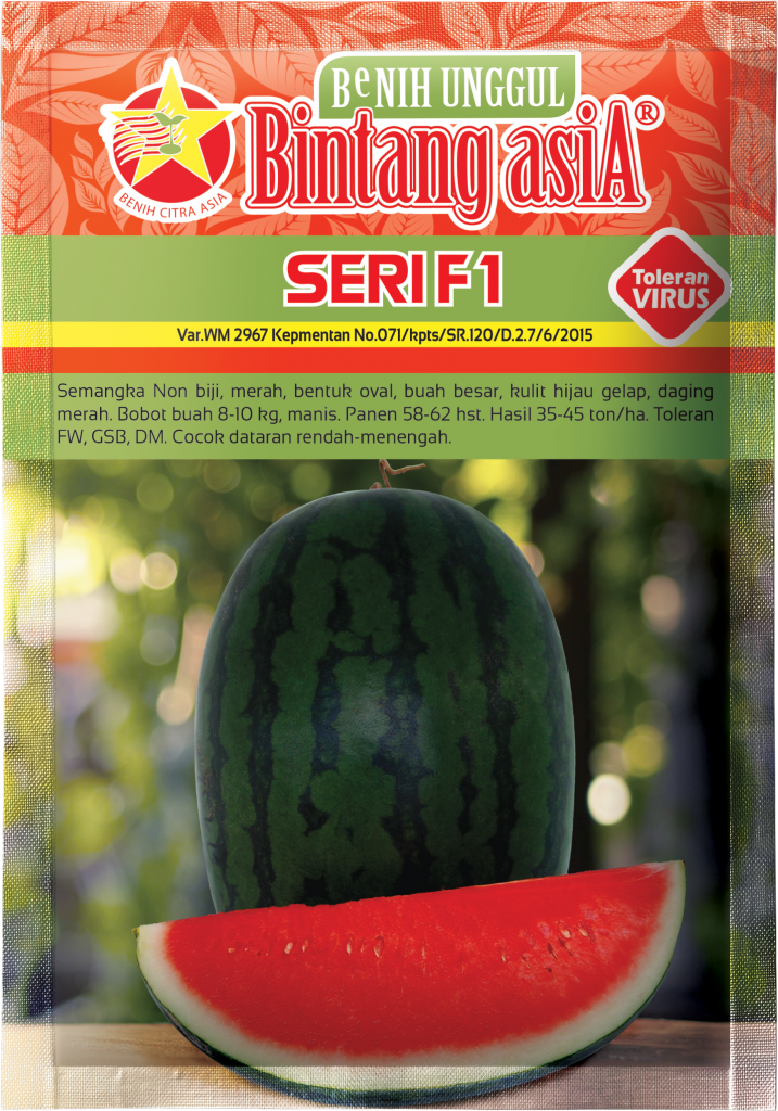 10 Best Watermelon Seed Types in Indonesia - Blog Bintang asiA