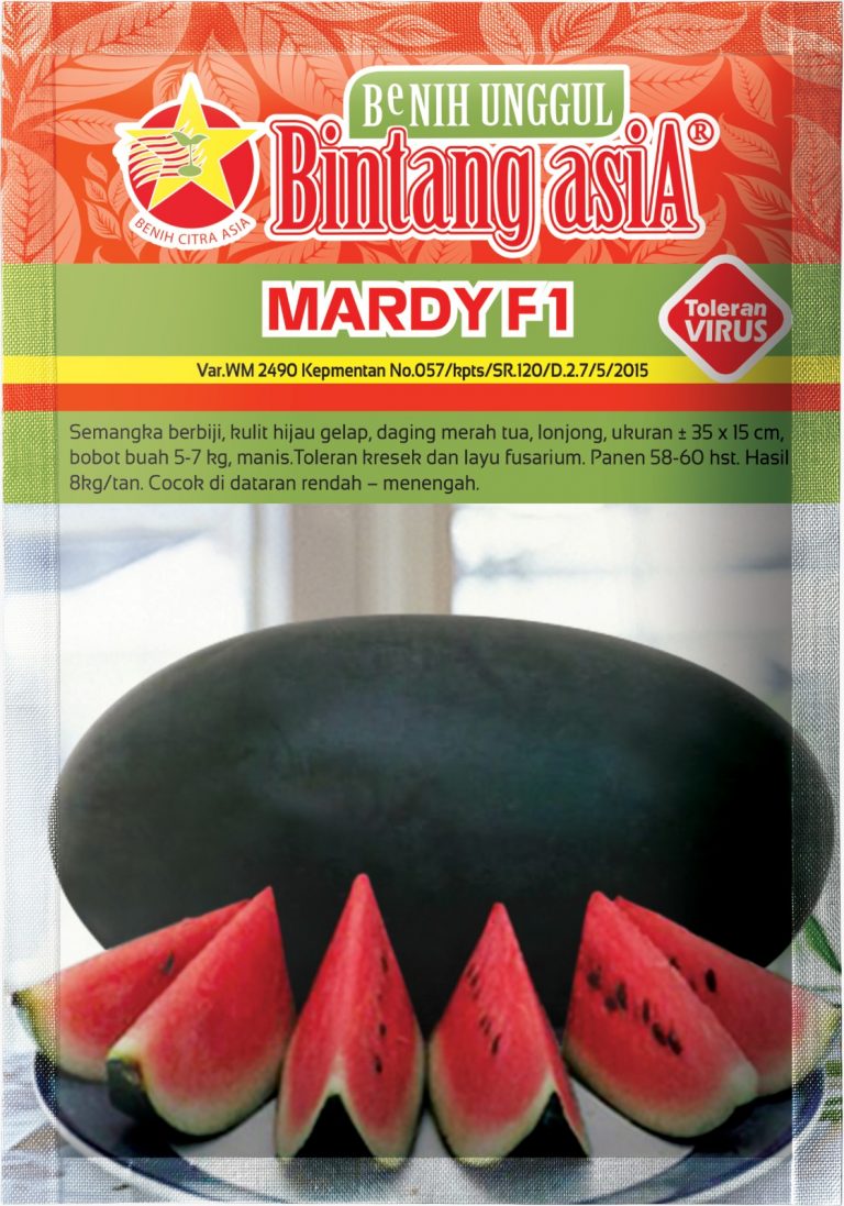 10 Best Watermelon Seed Types in Indonesia - Blog Bintang asiA