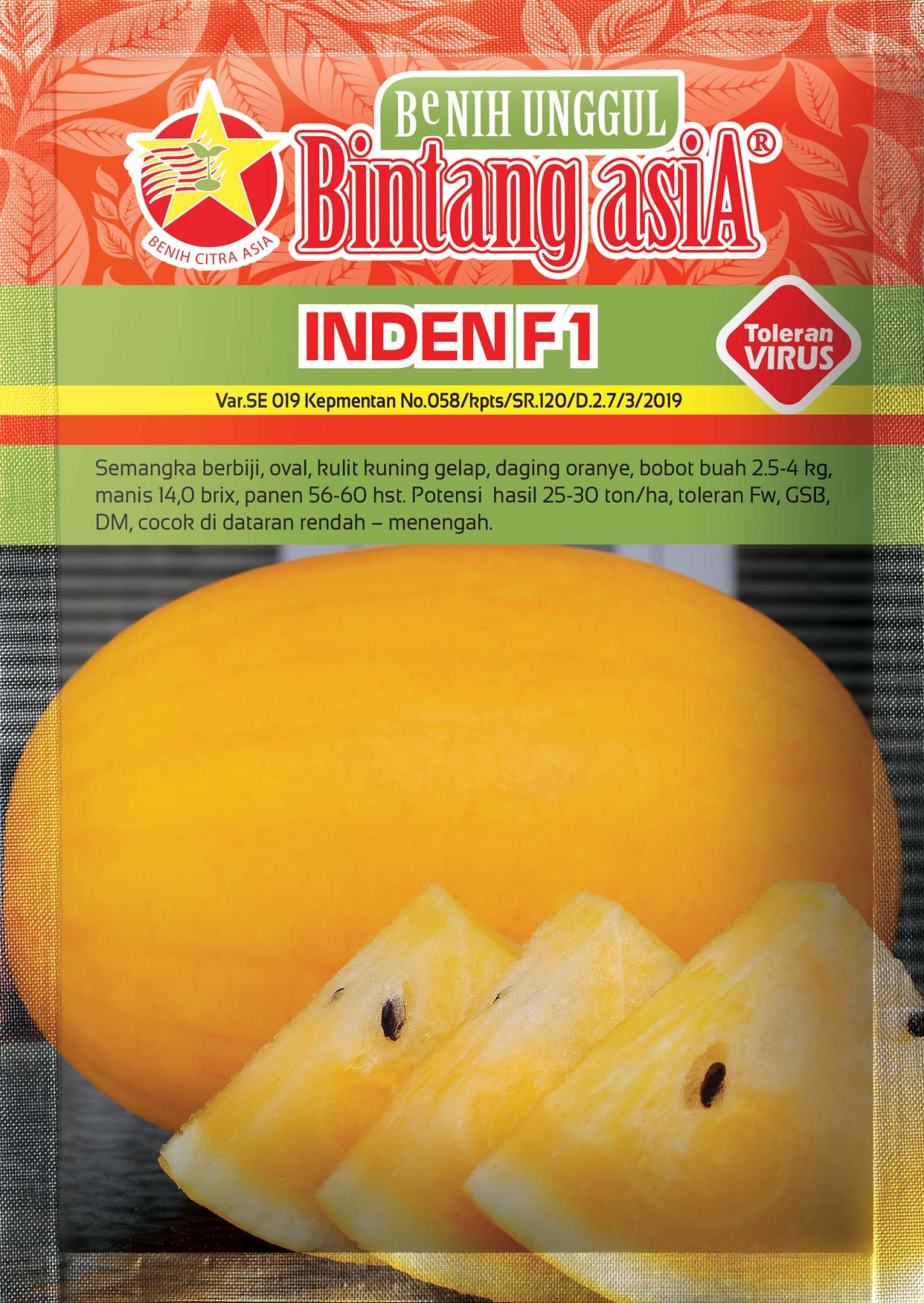Advantages of Watermelon Cultivation in Indonesia - Blog Bintang asiA